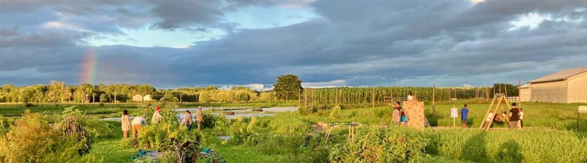 Our Partners – Red Hook Responds