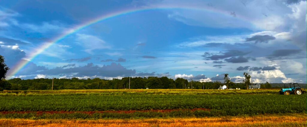 About Us – Red Hook Responds