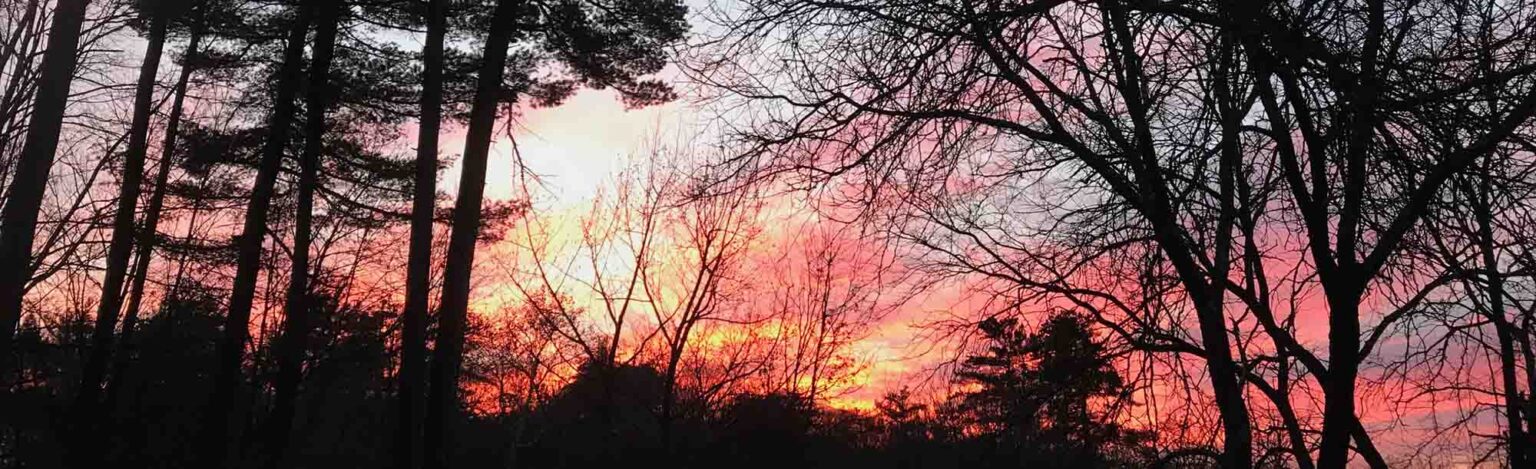 Get Help – Red Hook Responds