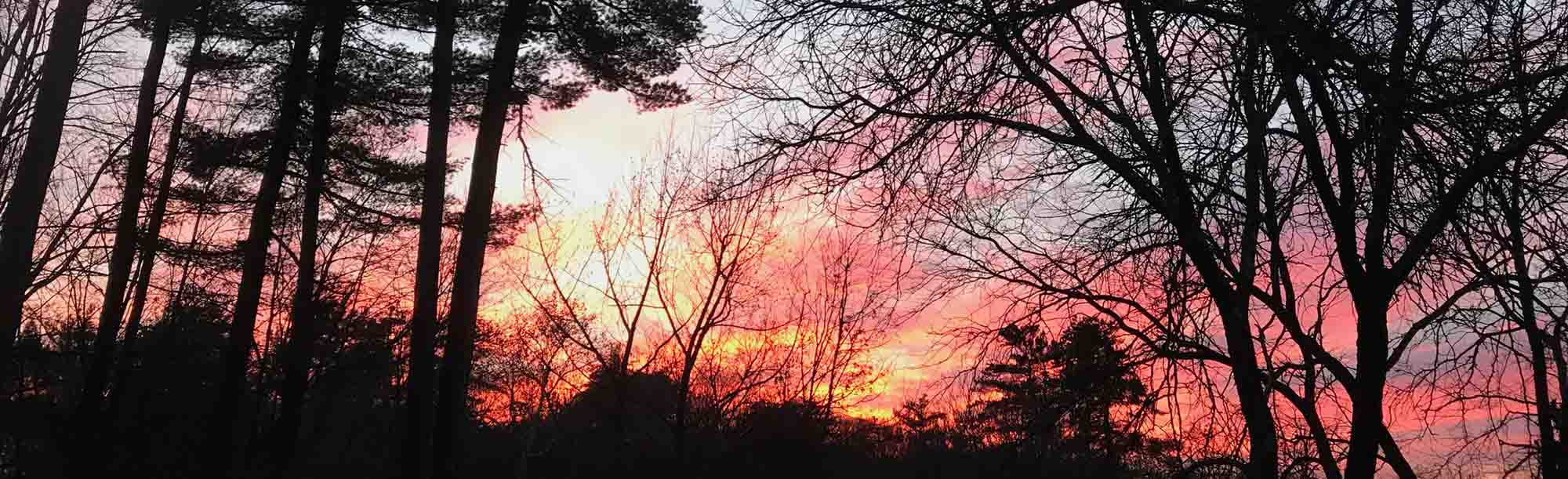 Get Help – Red Hook Responds