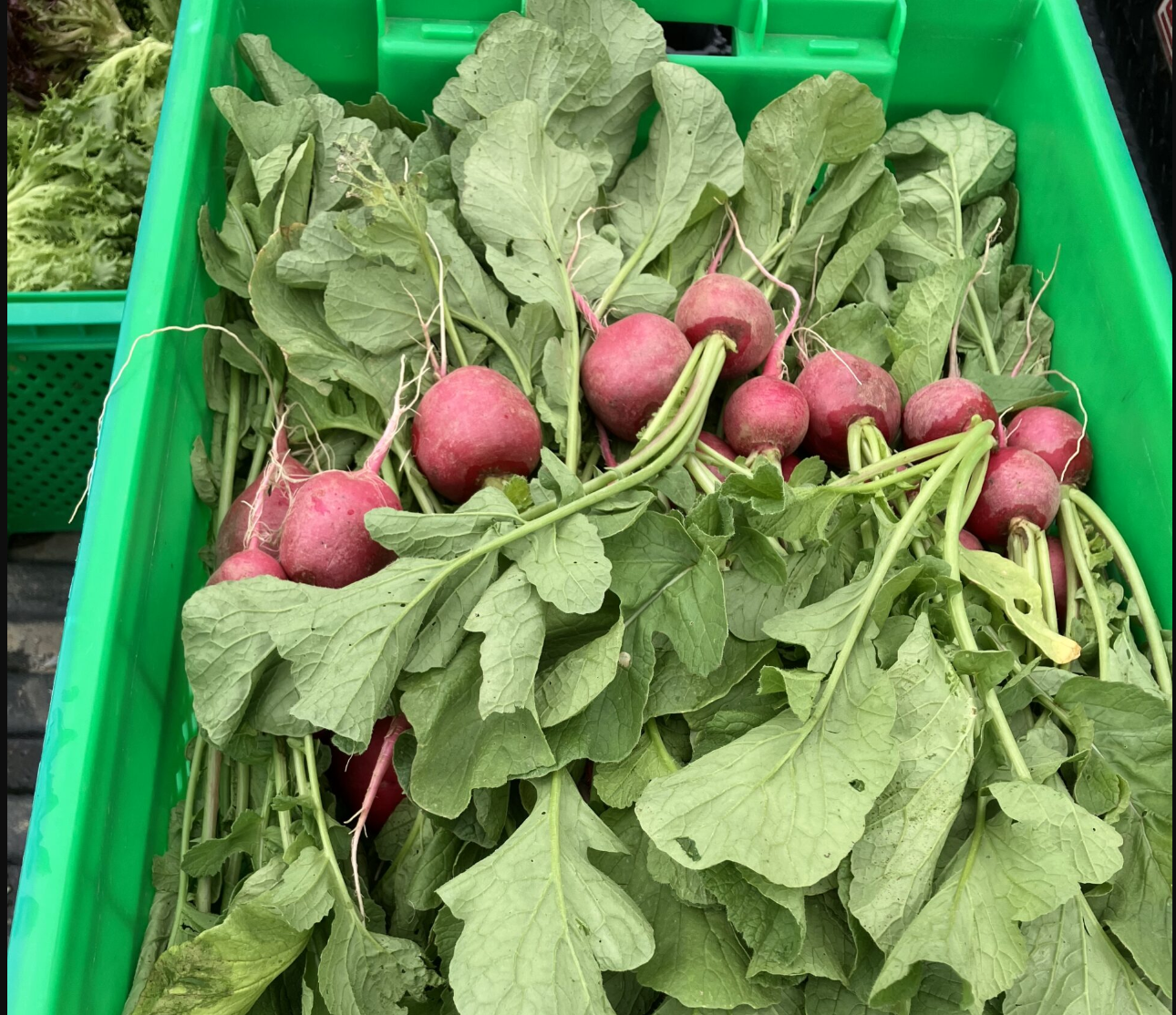 Local Food Exchange – Red Hook Responds